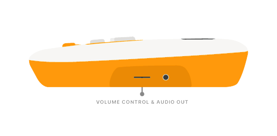 Device Layout