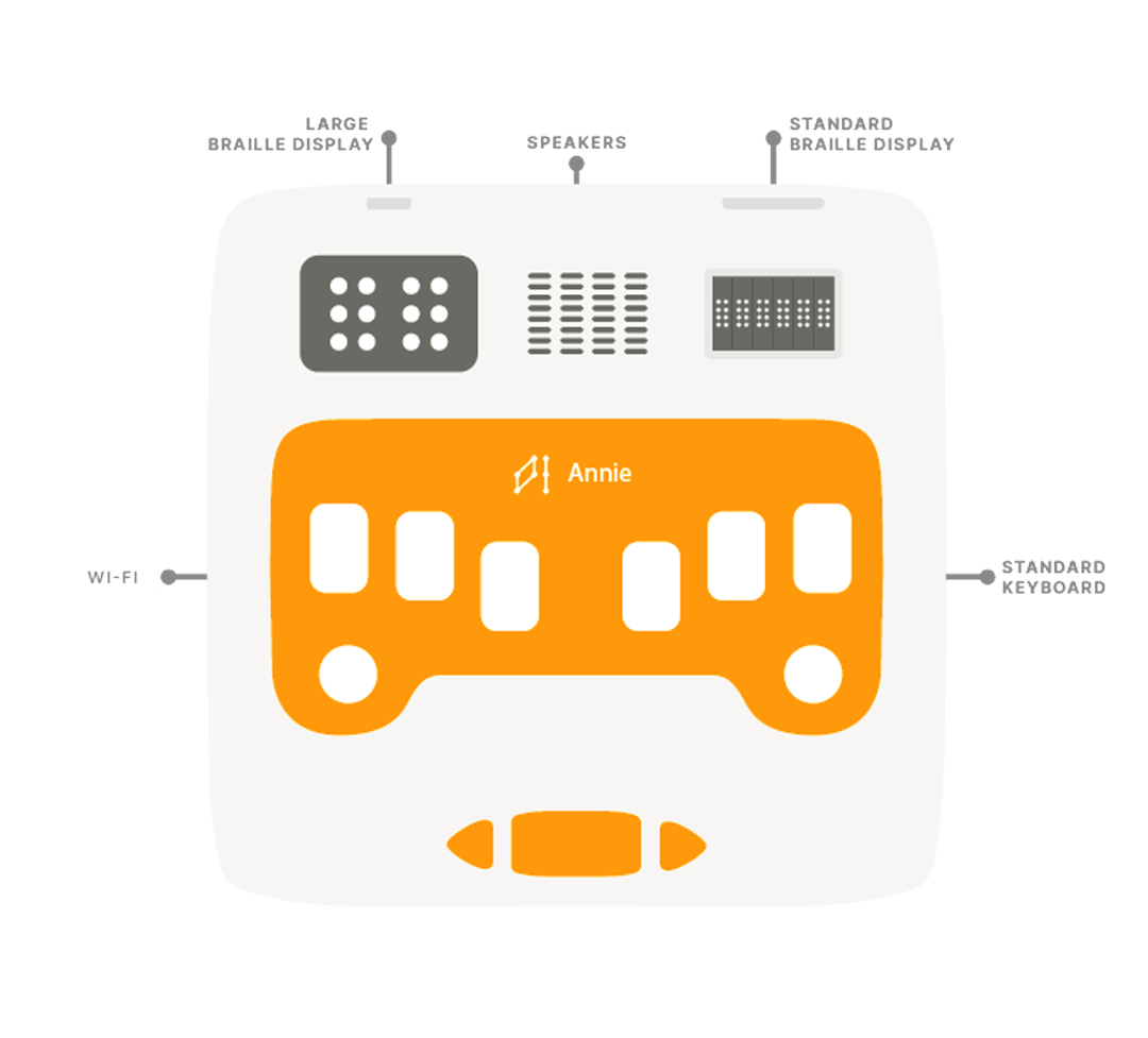 Device Layout